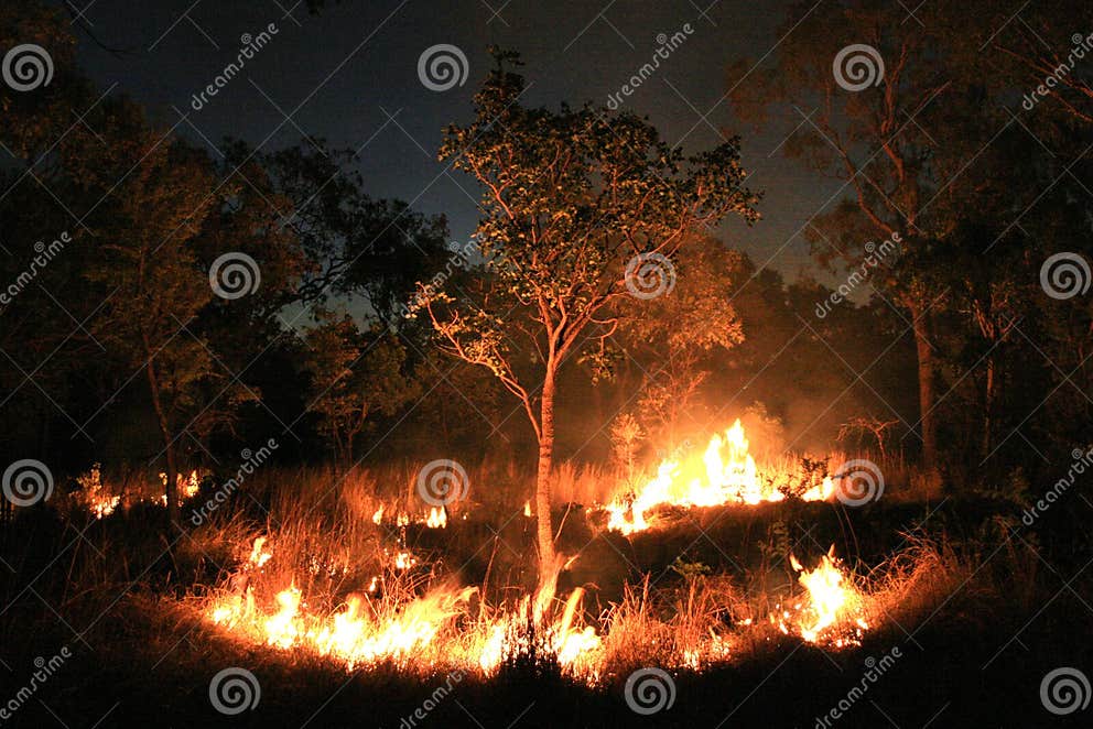 Bush Fire - the Red Centre, Australia Stock Image - Image of burning ...