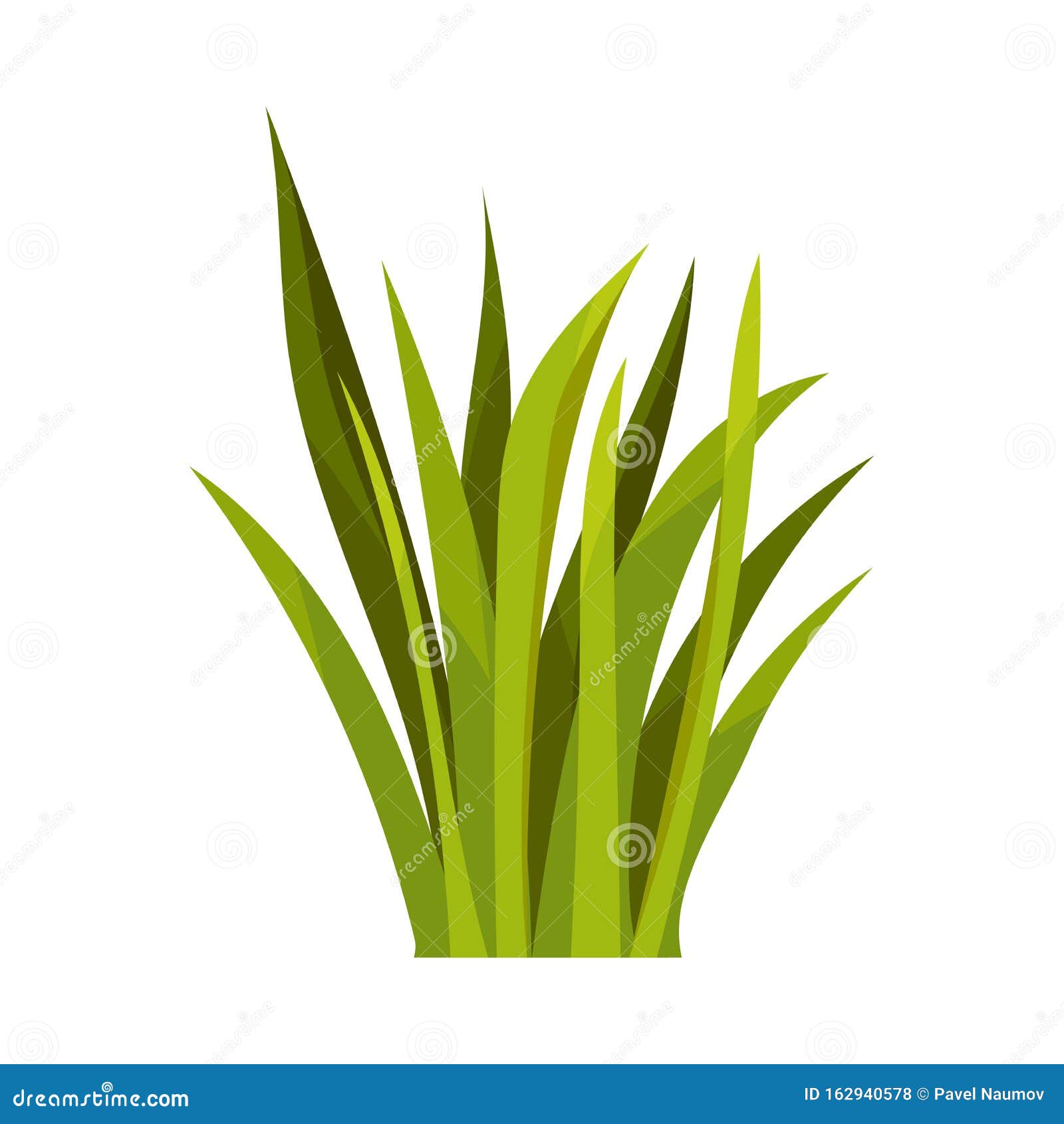 Bush of Grass. Vector Illustration on a White Background. Stock Vector ...