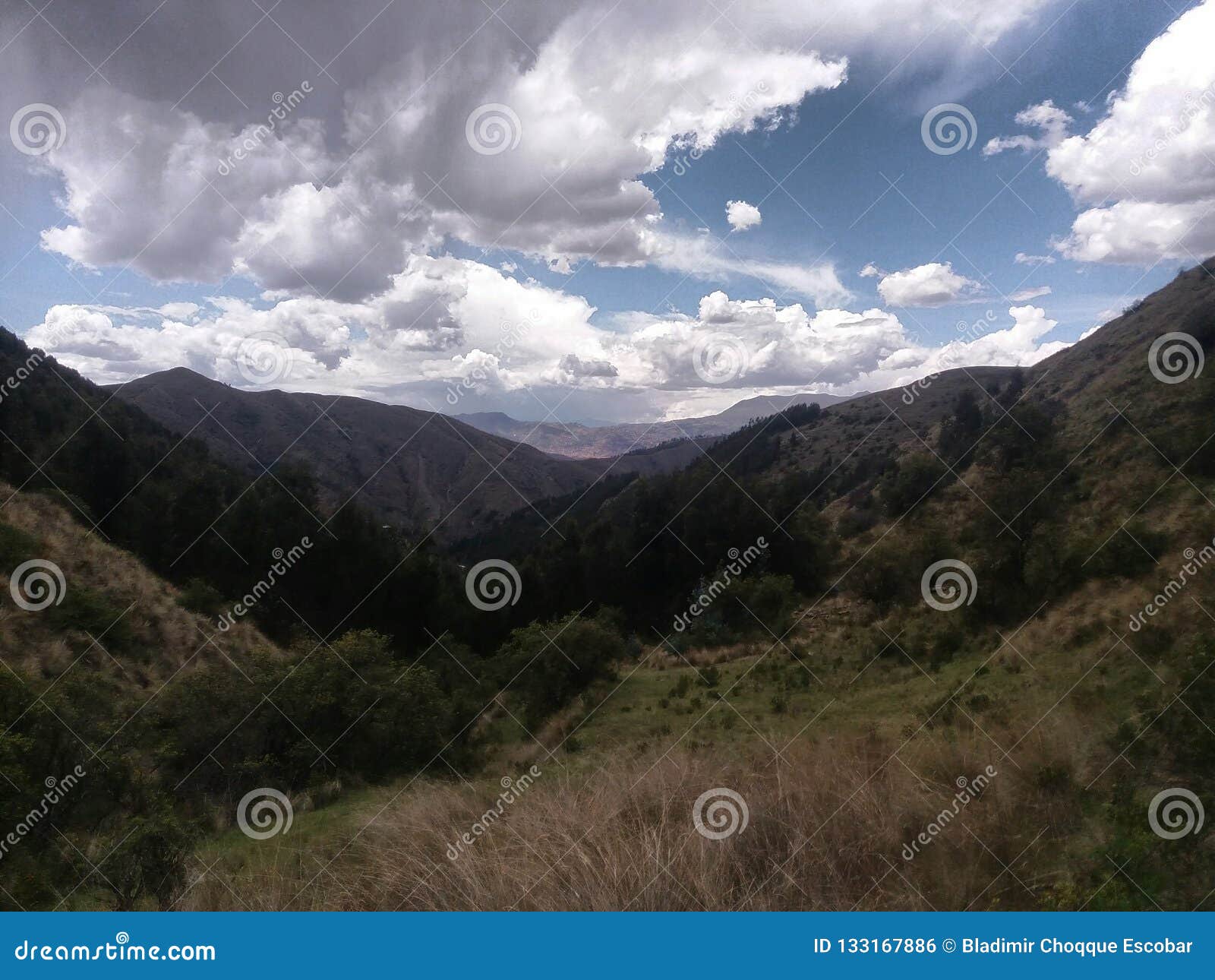 Distant Forest and Mountains Stock Photo - Image of bread, crops: 133167886
