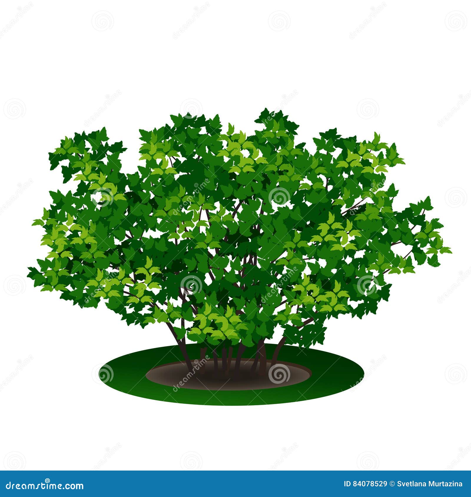 Bush with Green Leaves and Shadow Stock Vector - Illustration of bush ...