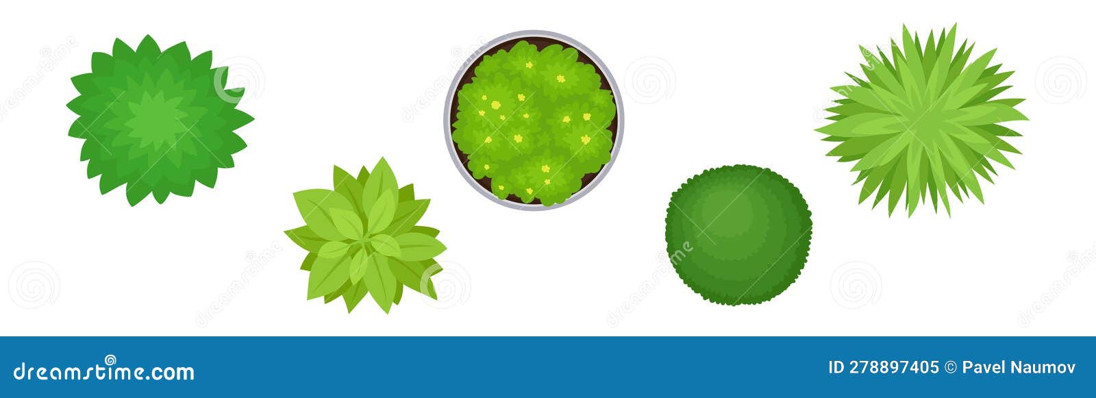 Bush Growth As Landscape Elements Above View Vector Set Stock Vector ...