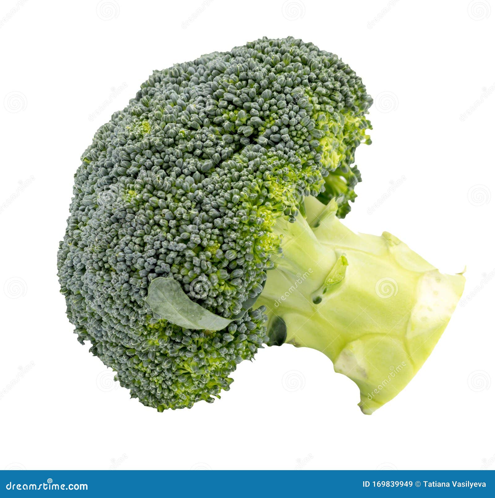 Broccoli Head Isolated on a White Stock Image - Image of color, cooking ...