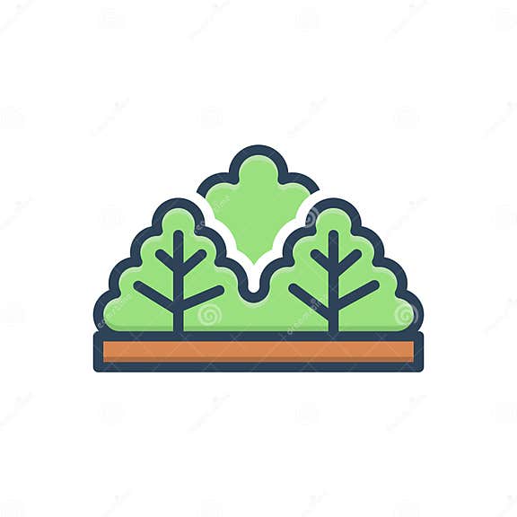 Color Illustration Icon for Bush, Shrub and Ecology Stock Illustration ...
