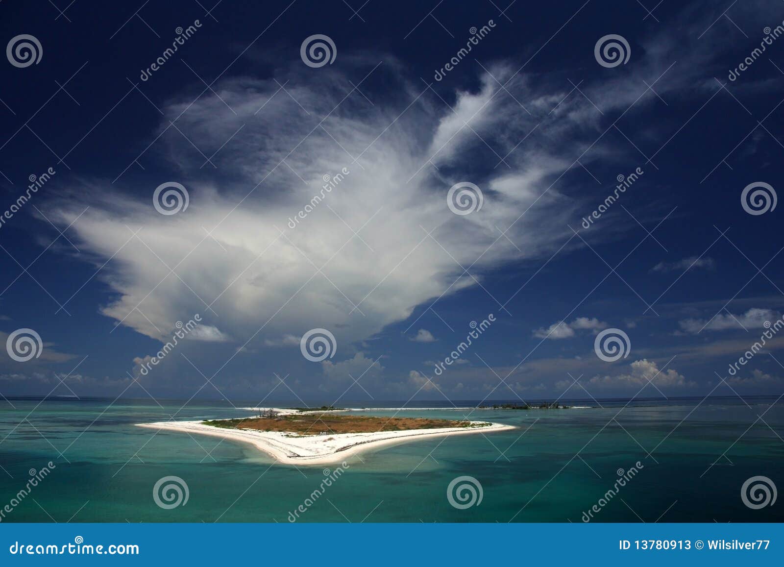 Bush Key stock image. Image of ocean, bush, island, park - 13780913