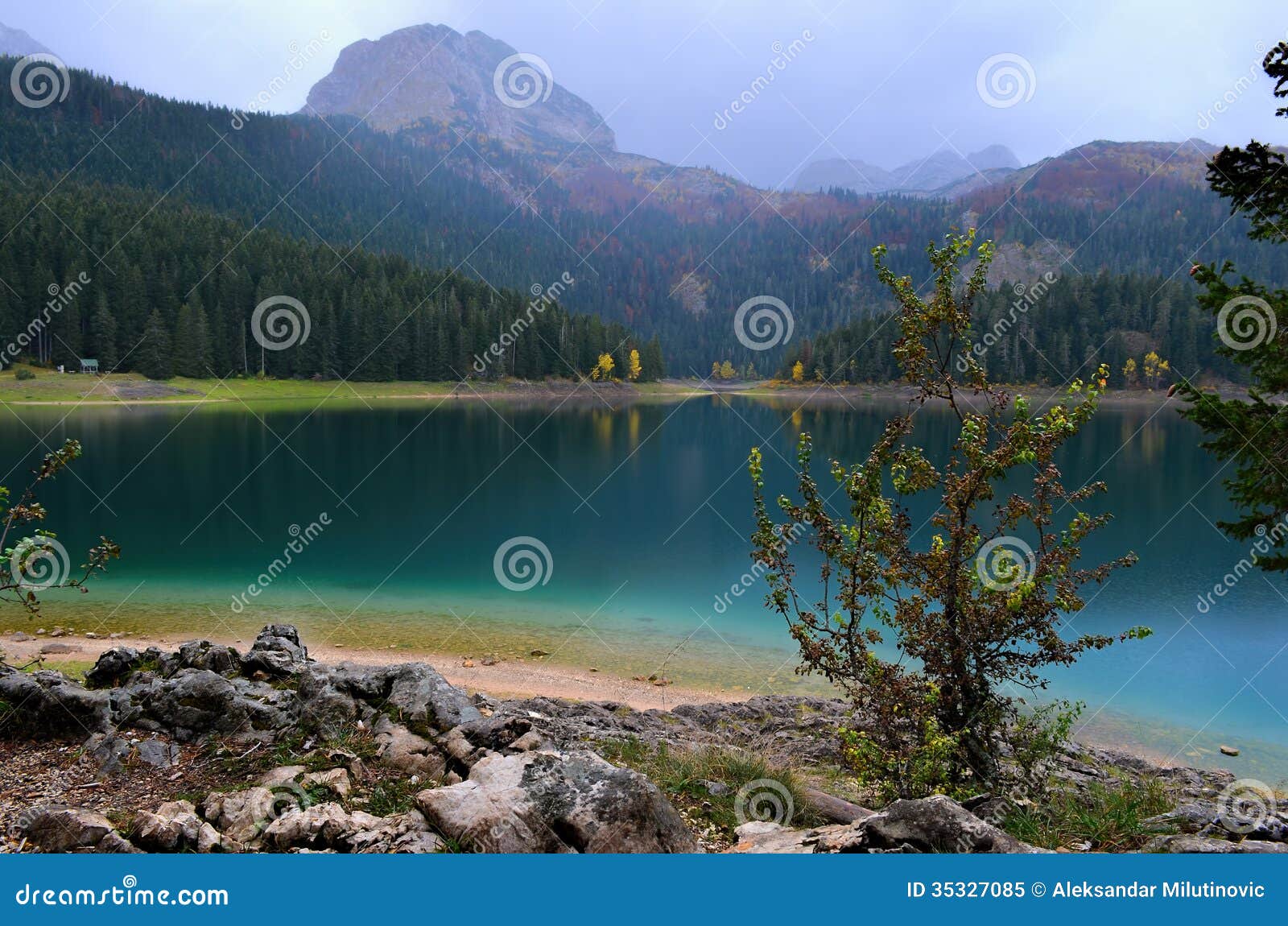 Bush by the lake stock image. Image of october, autumn - 35327085