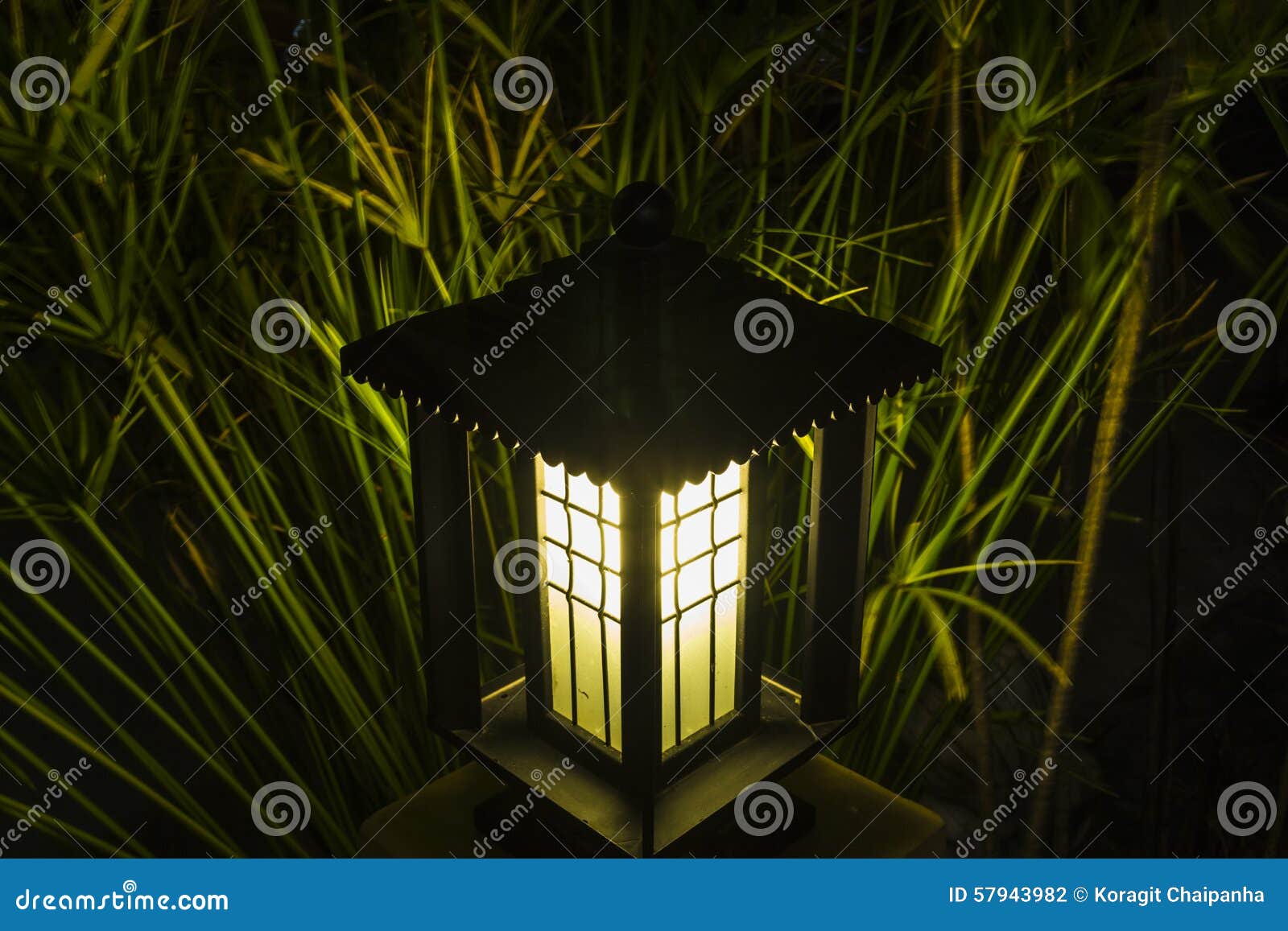 Bush light on the gardens stock photo. Image of architecture - 57943982