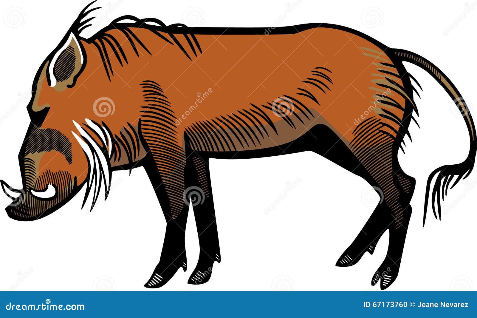 Bushpig Cartoons, Illustrations & Vector Stock Images - 9 Pictures to ...