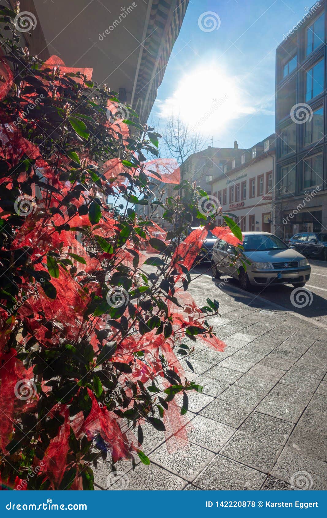 Bush with Red Ribbons Stands in a Street Stock Photo - Image of ...