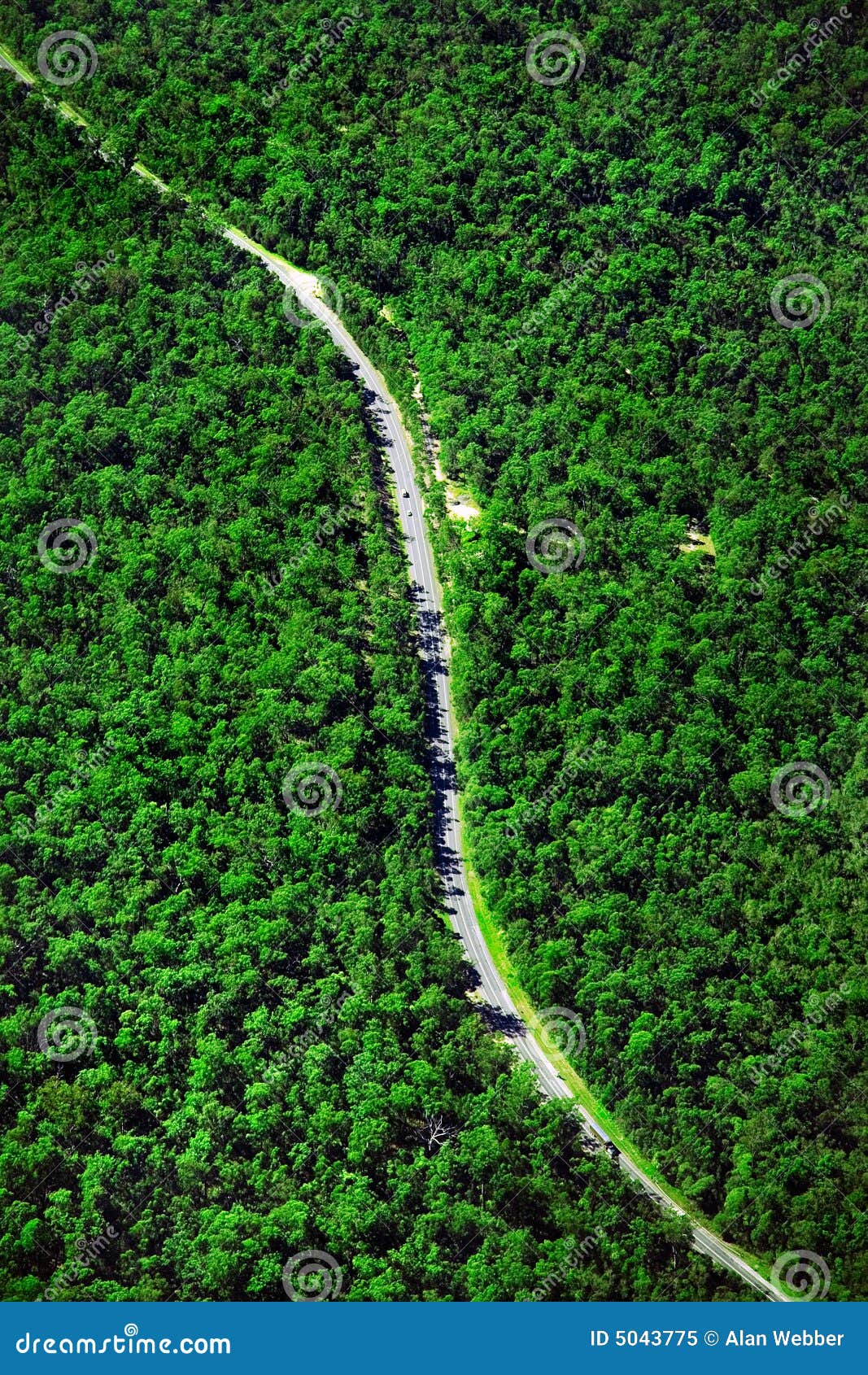 Bush road stock image. Image of trees, highway, bush, tropics - 5043775