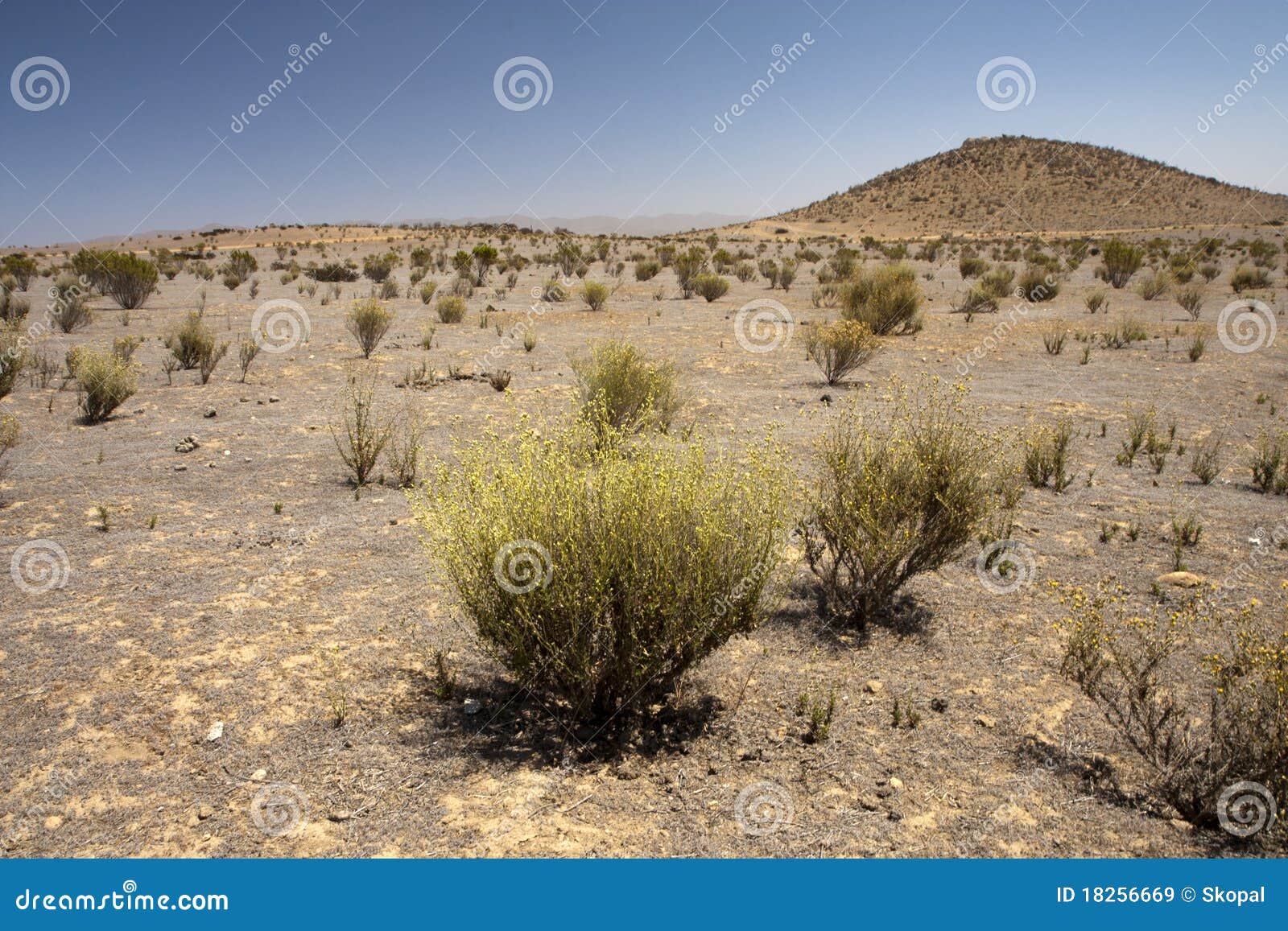 Semi-desert Bardenas Reales, Mountain Pizcarra, Natural Park And Stock ...