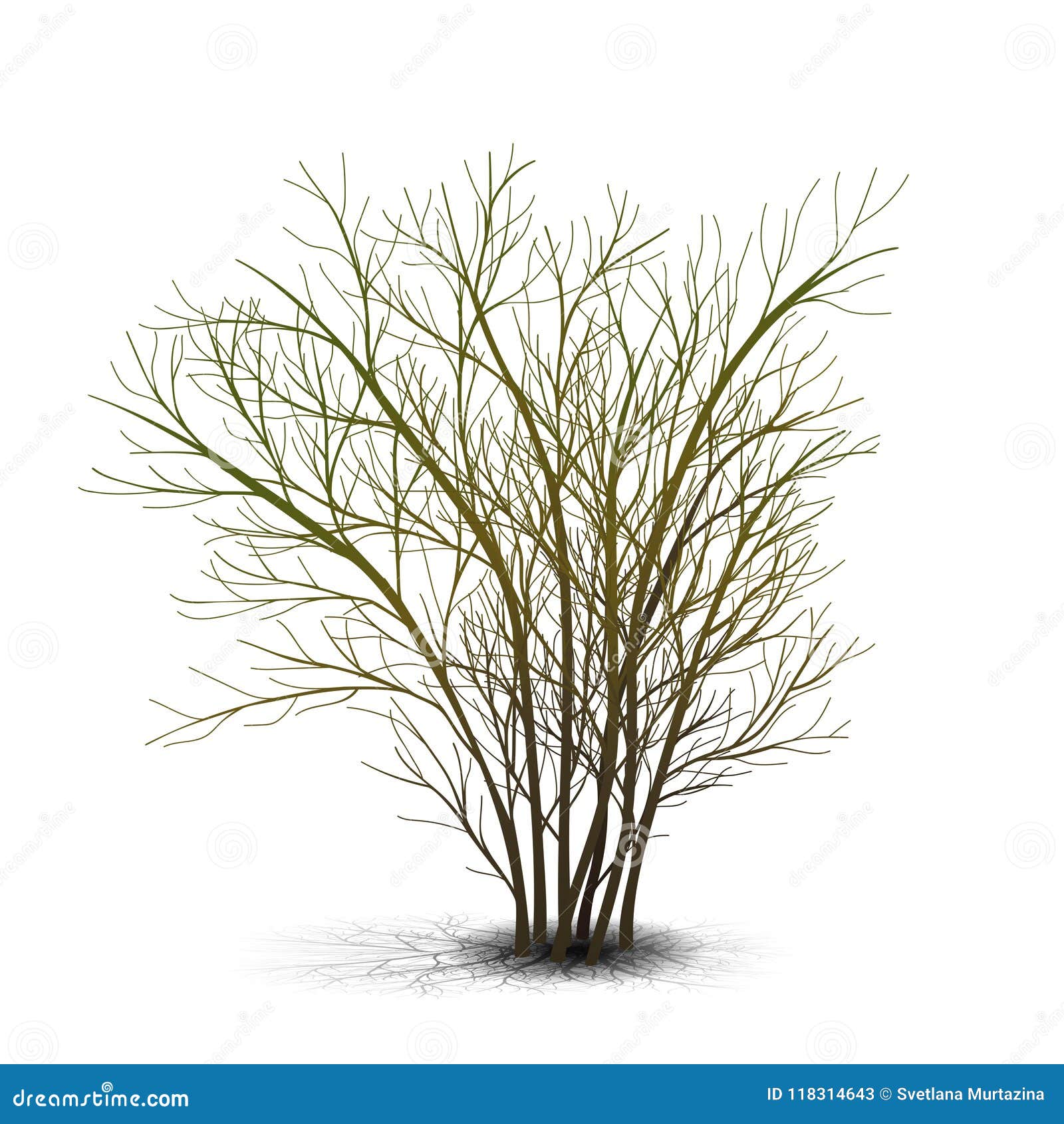Bush with Shadow without Leaves Stock Vector - Illustration of foliage ...