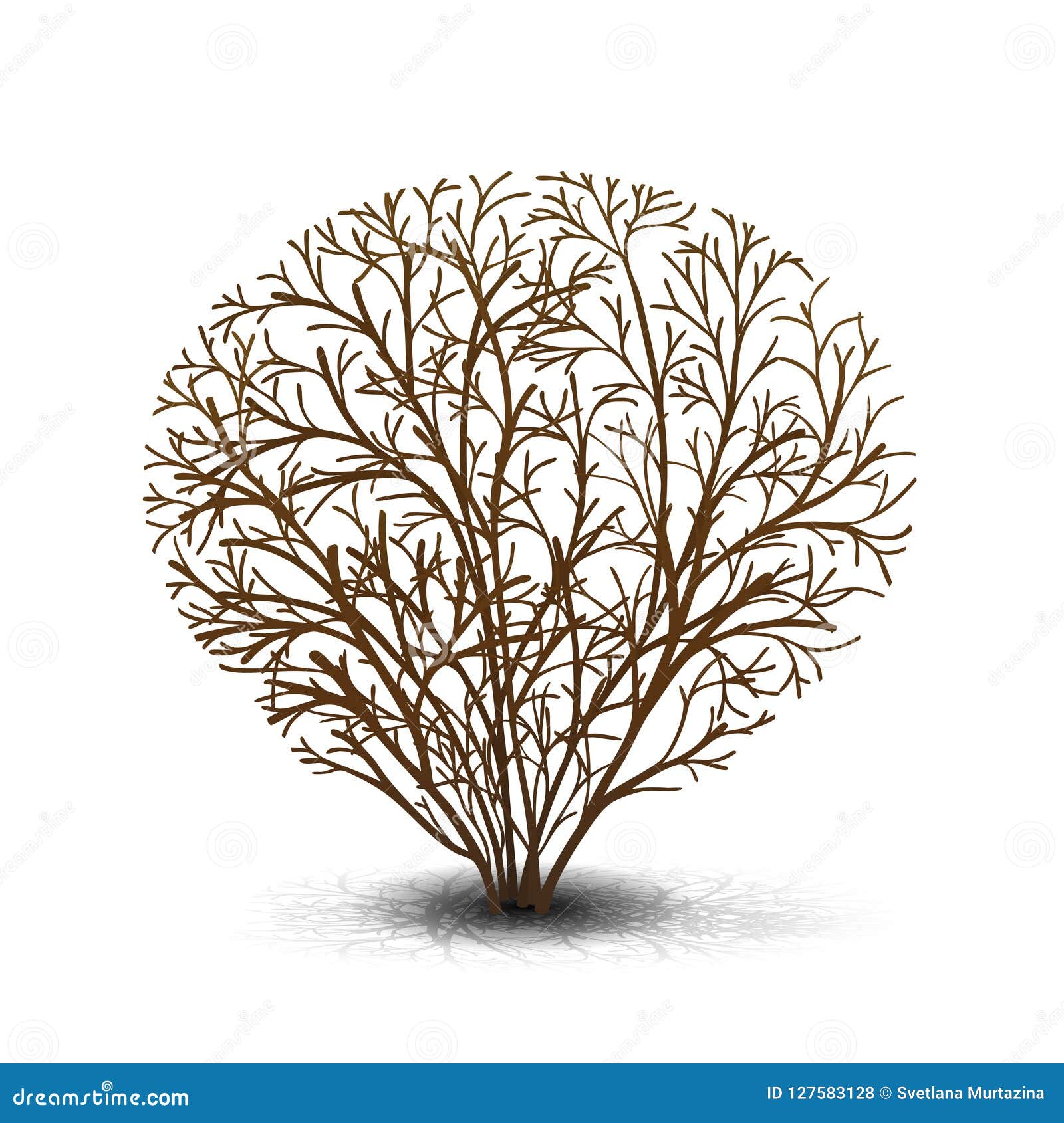 Bush with Shadow without Leaves Stock Vector - Illustration of ...