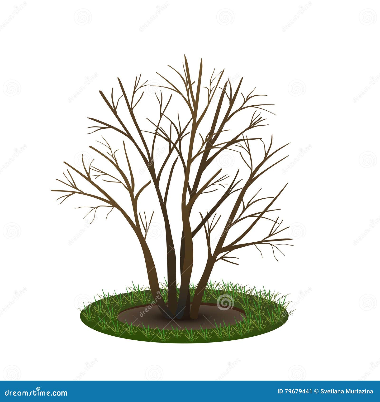 Bush with Shadow without Leaves Stock Vector - Illustration of ...
