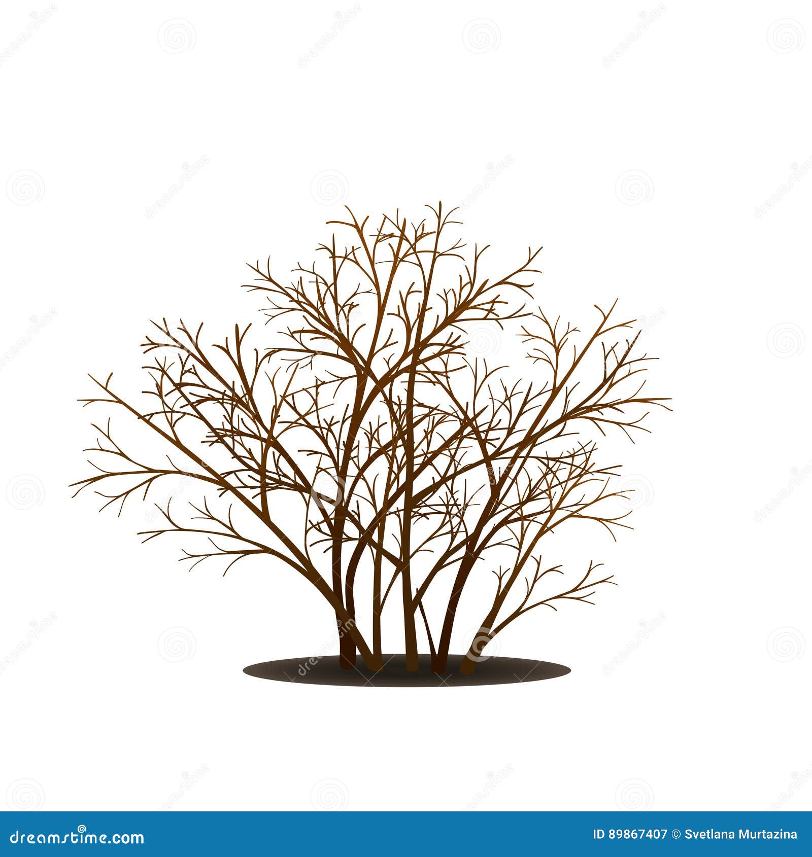 Bush with Shadow without Leaves Stock Vector - Illustration of forest ...