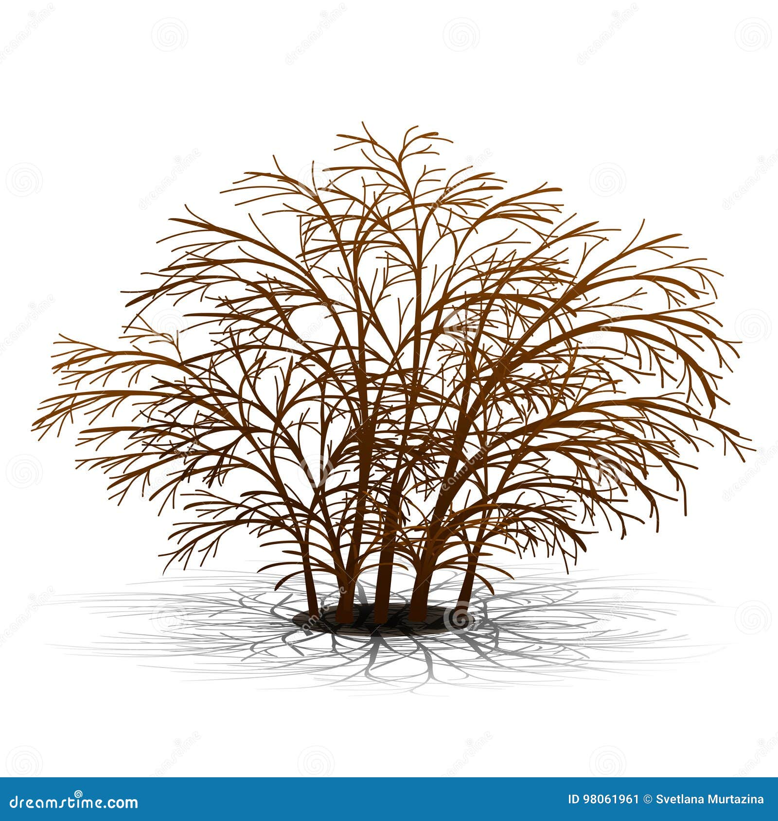 Bush with Shadow without Leaves Stock Vector - Illustration of ...