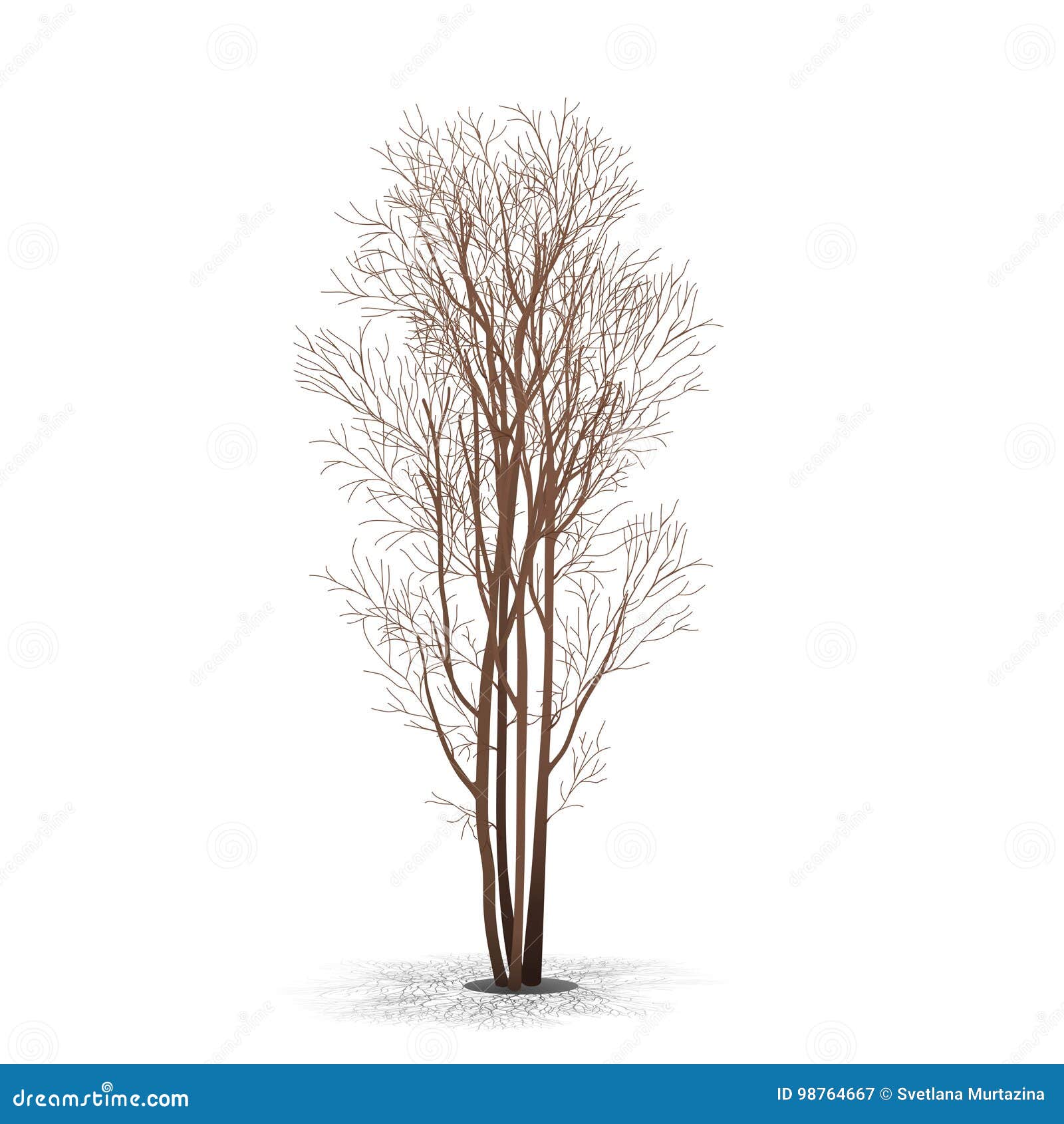 Bush with Shadow without Leaves Stock Vector - Illustration of single ...