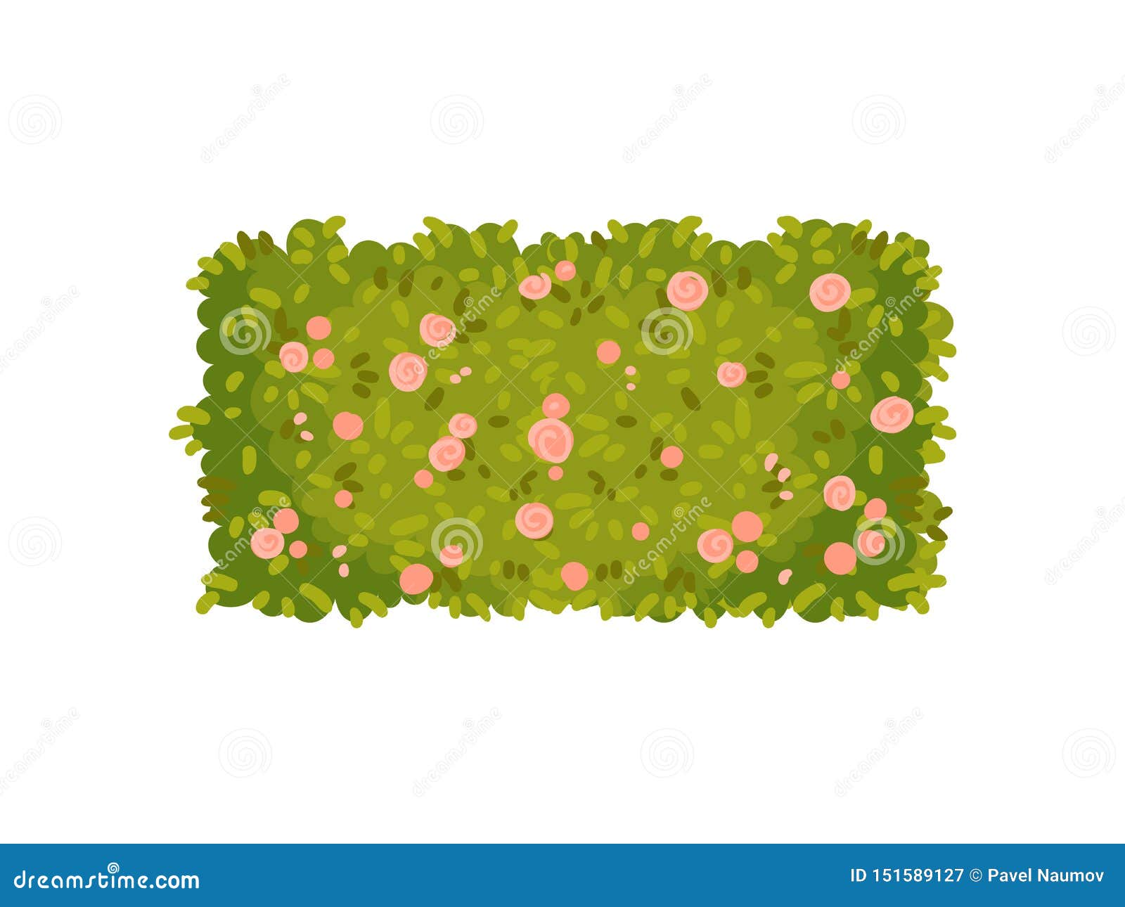 Bush in the Shape of a Rectangle with Pink Flowers. Vector Illustration ...