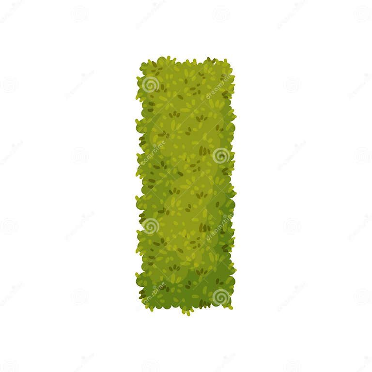 Bush in the Shape of a Rectangle. View from Above. Vector Illustration ...