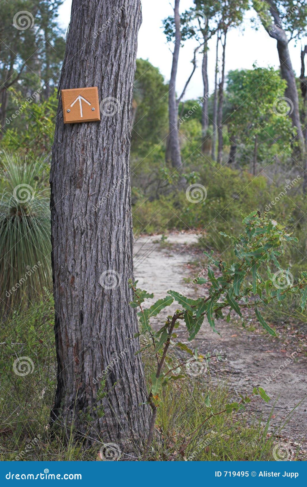 Bush Sign stock image. Image of hiking, track, compass - 719495