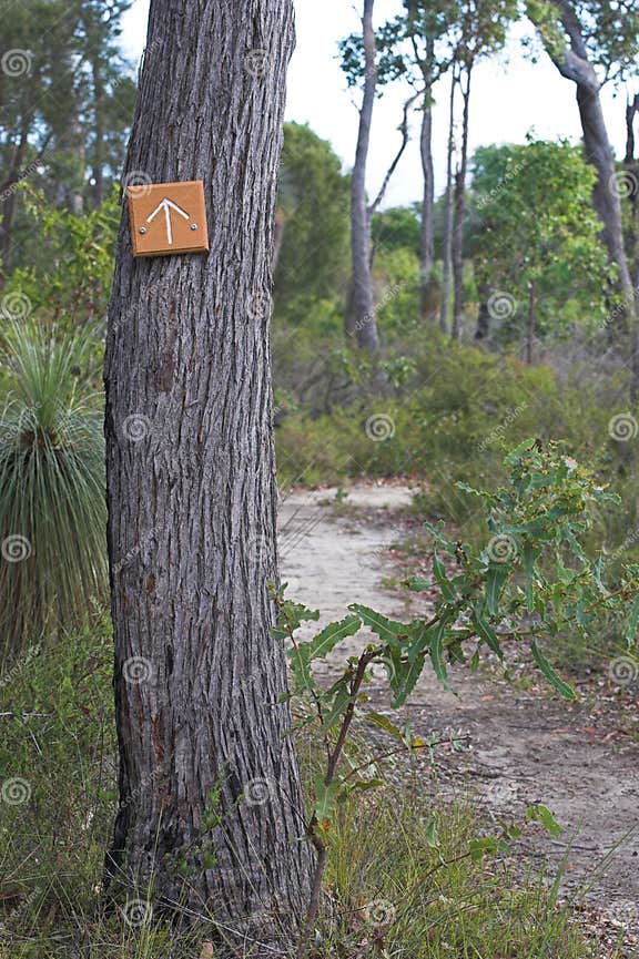 Bush Sign stock image. Image of hiking, track, compass - 719495