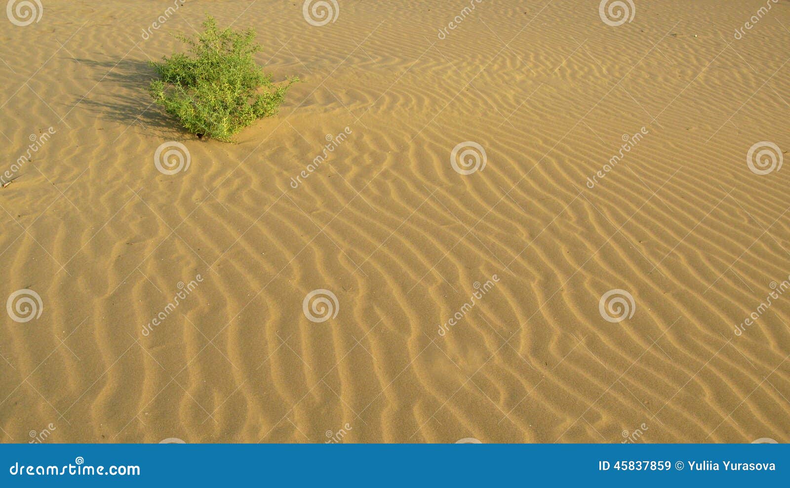 Smooth Surface Black Marble Slab Royalty-Free Stock Image ...