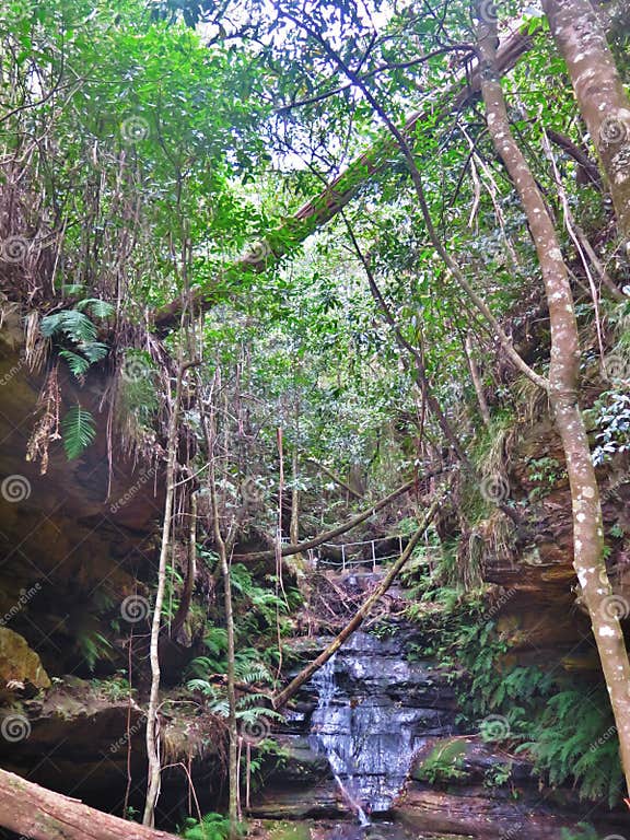 Bush waterfall stock image. Image of australia, national - 102473371