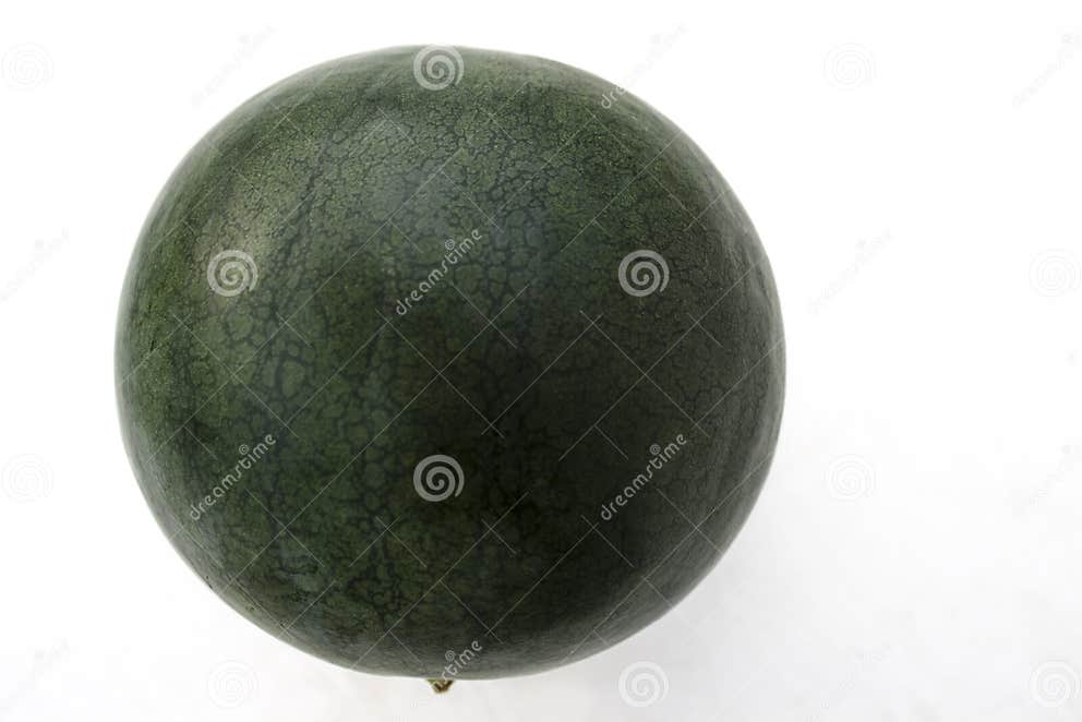 Bush Sugar Baby Watermelon stock image. Image of isolated - 45104871