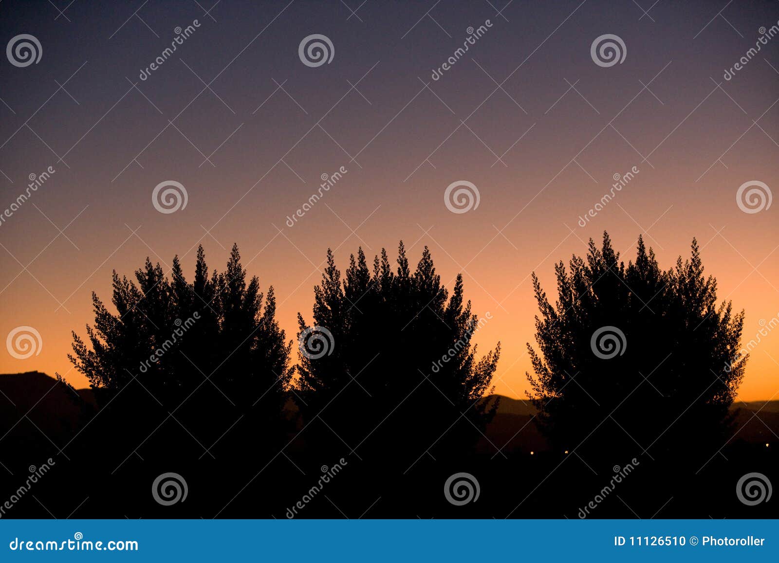 Bush at sunset stock photo. Image of outdoors, brown - 11126510