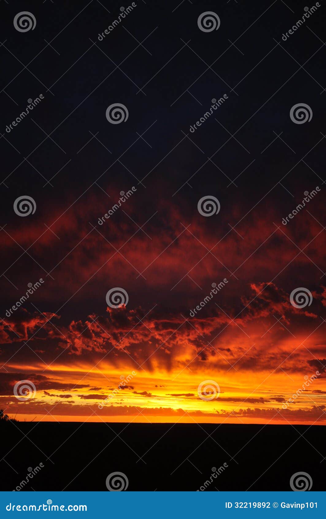 Amazing Bush Sunset Western Australia Stock Photo - Image of explosion ...