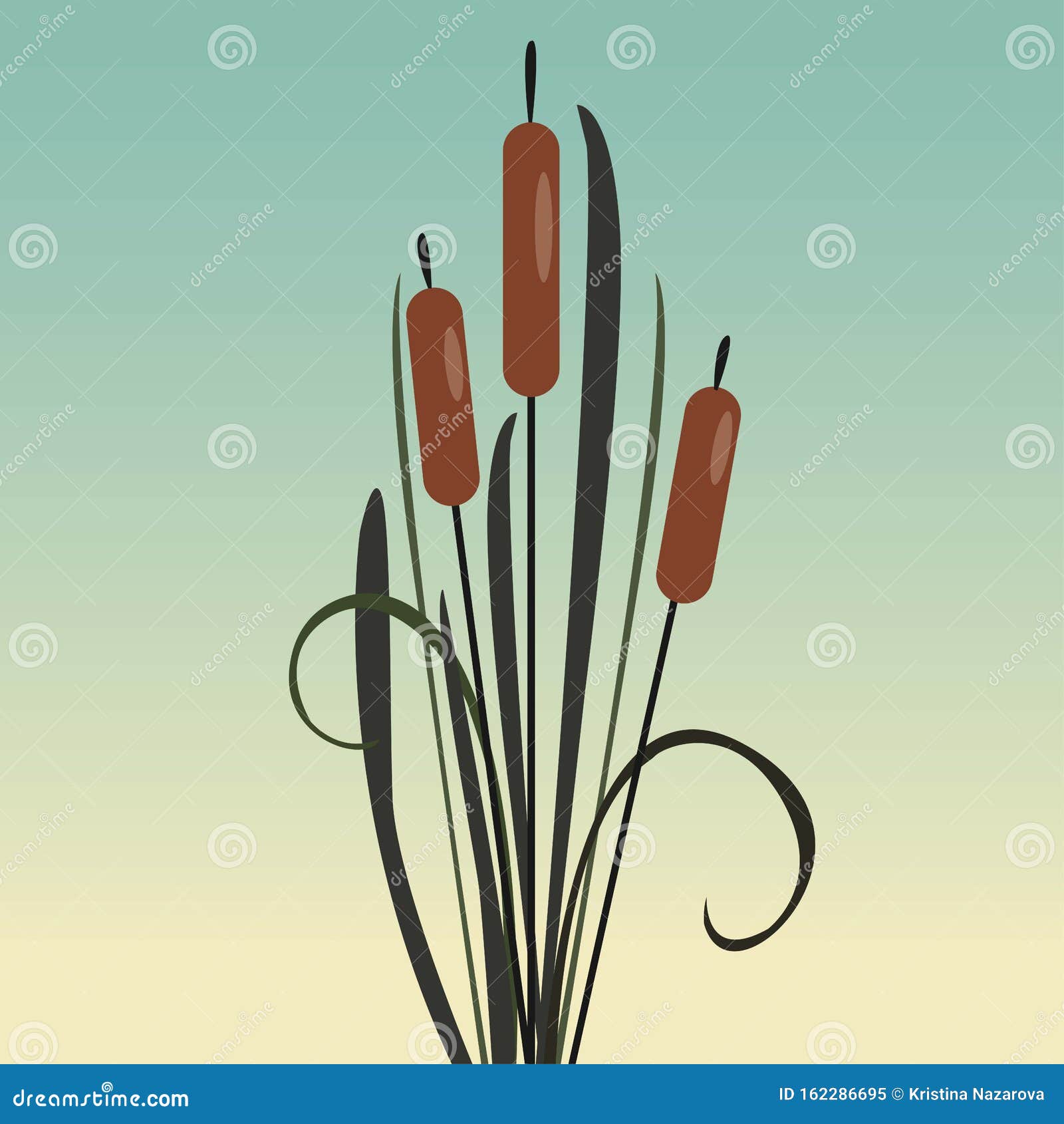 Bush of Swamp Reed on a Lake Stock Illustration - Illustration of ...