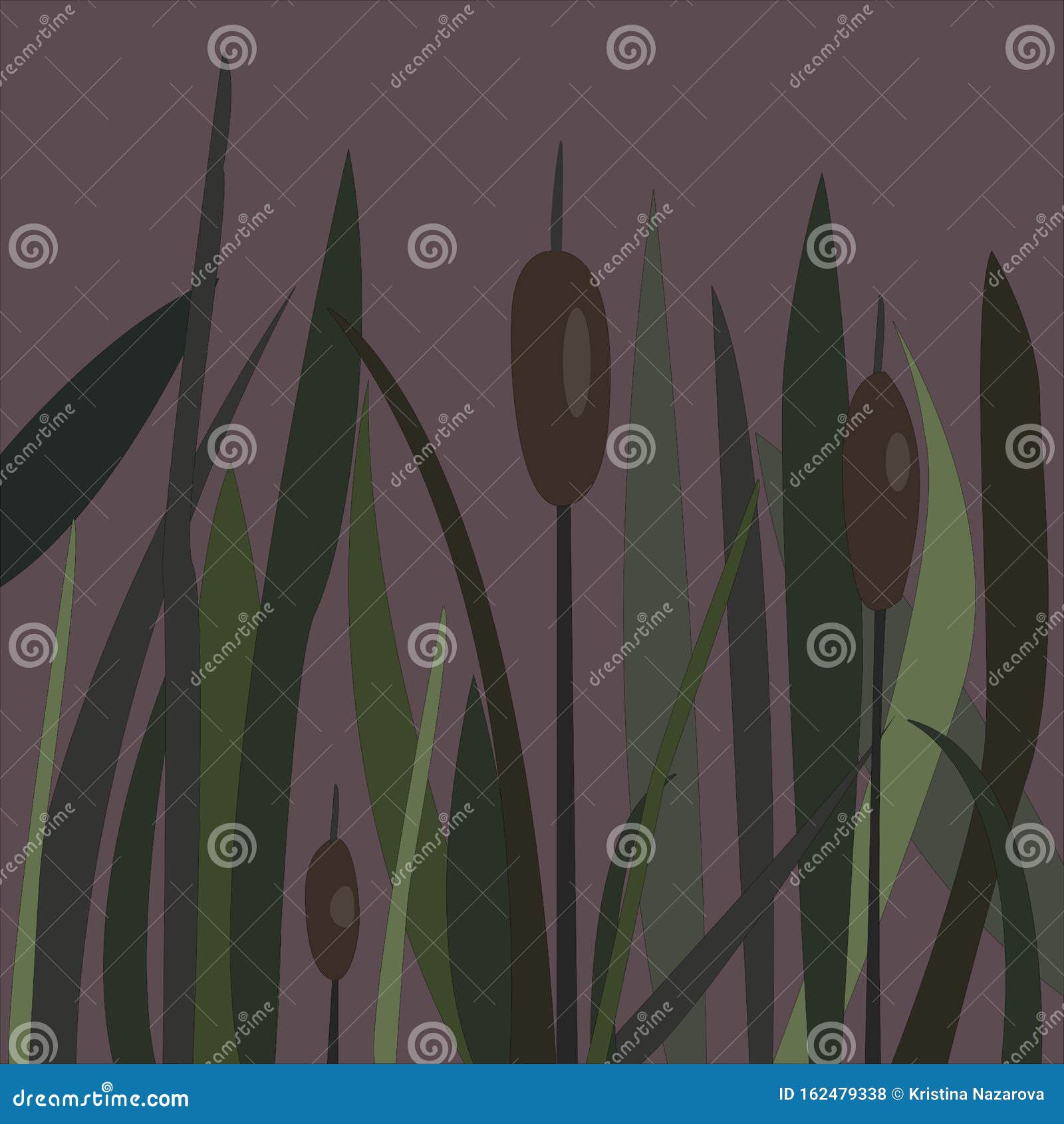 Bush of Swamp Reed on a Lake Stock Illustration - Illustration of ...