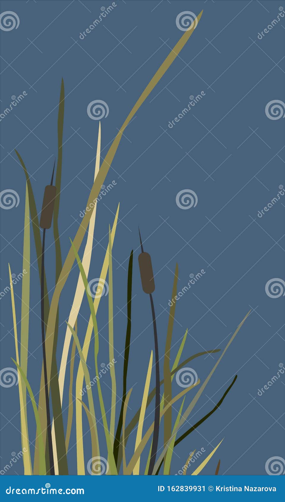 Bush of Swamp Reed on a Lake Stock Illustration - Illustration of ...