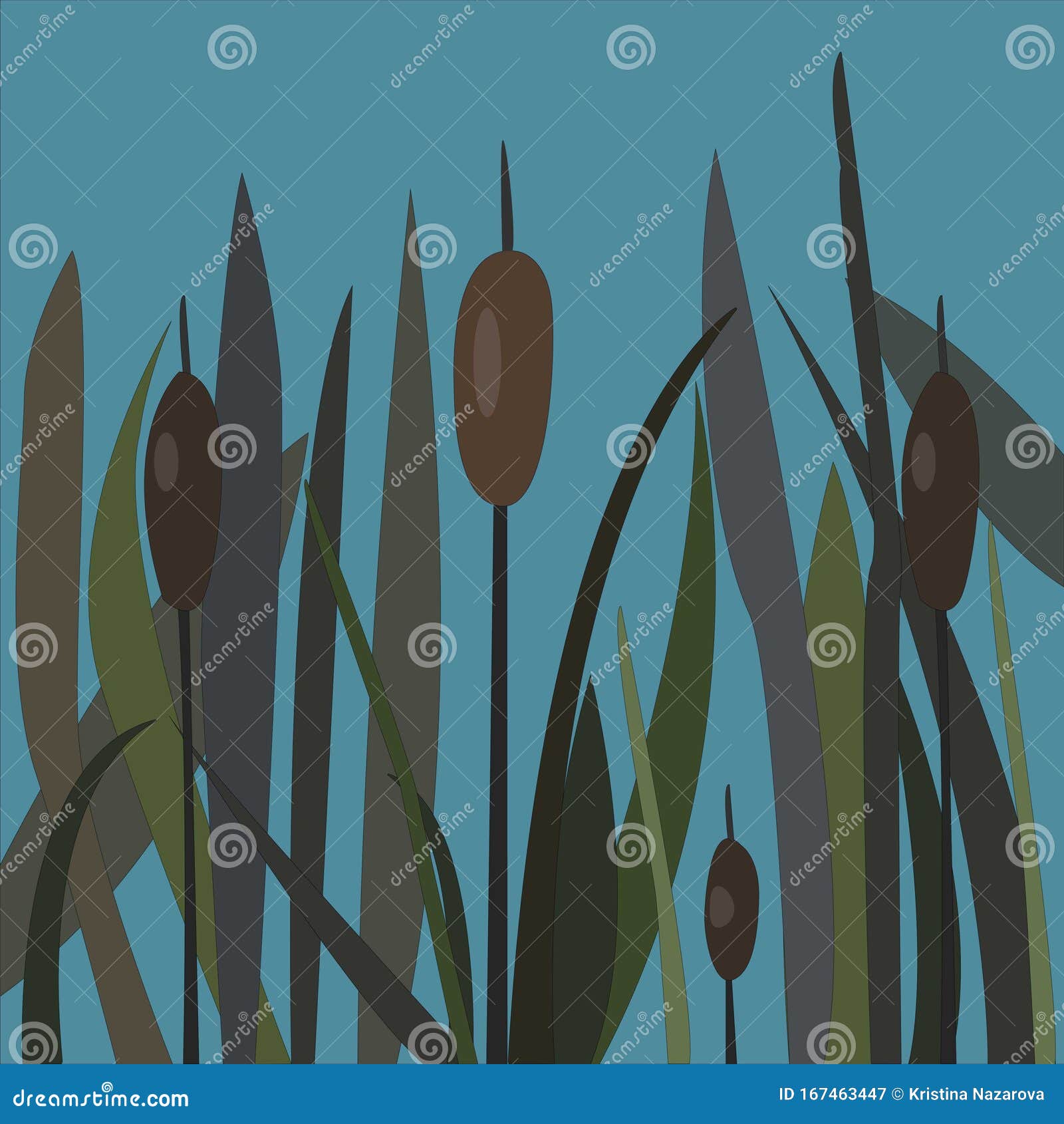 Swamp Reed Illustration. Cartoon Marsh Background With Cattail Plants ...