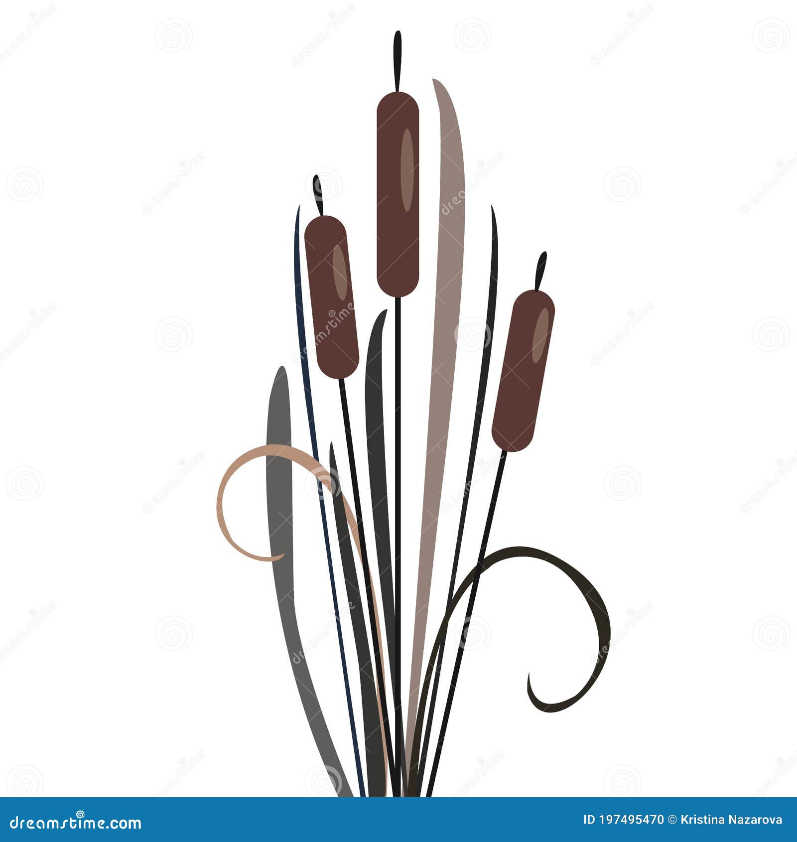 Bush of Swamp Reed on a Lake Stock Illustration - Illustration of park ...