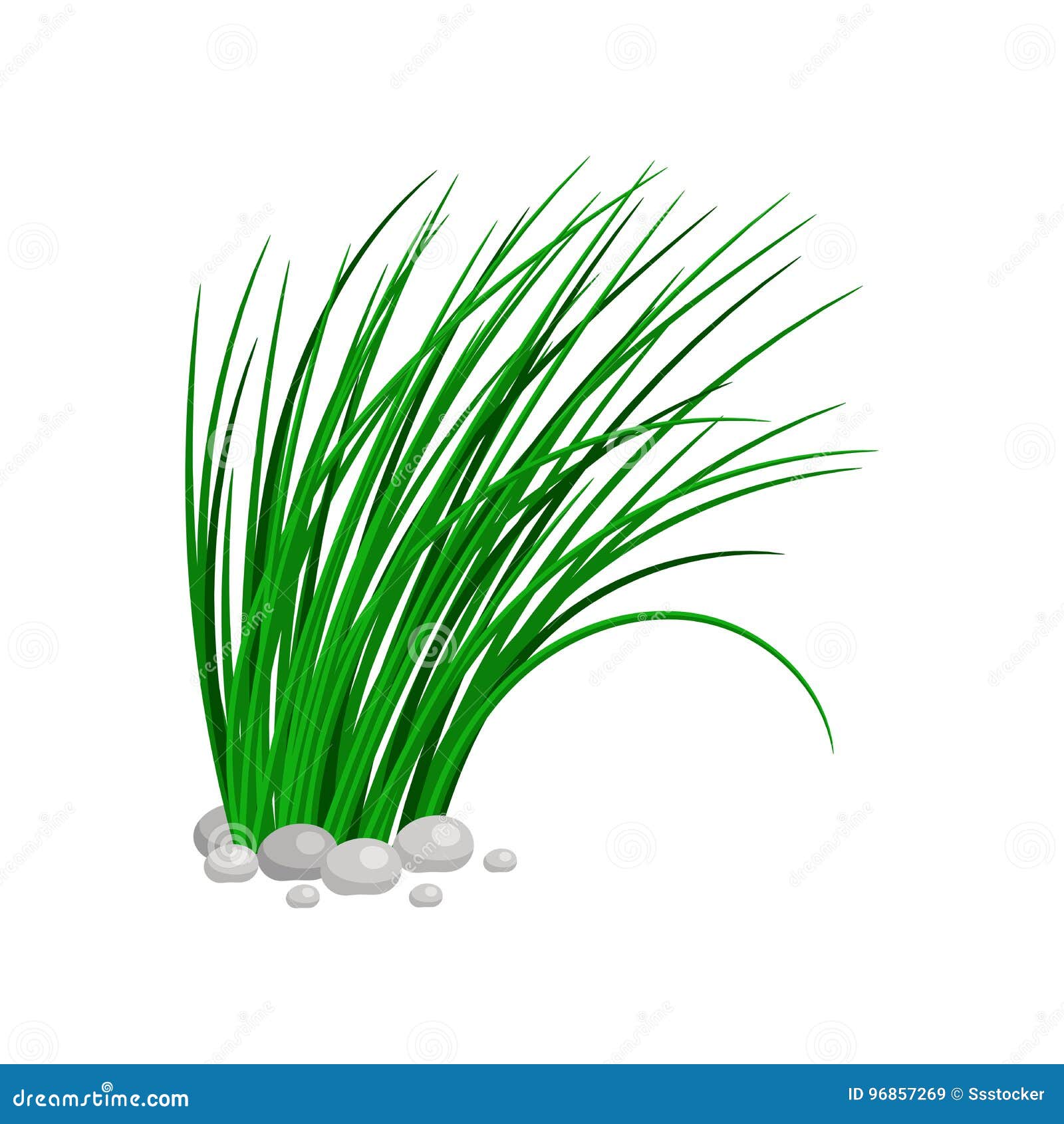 Bush of tall green grass stock vector. Illustration of florals - 96857269