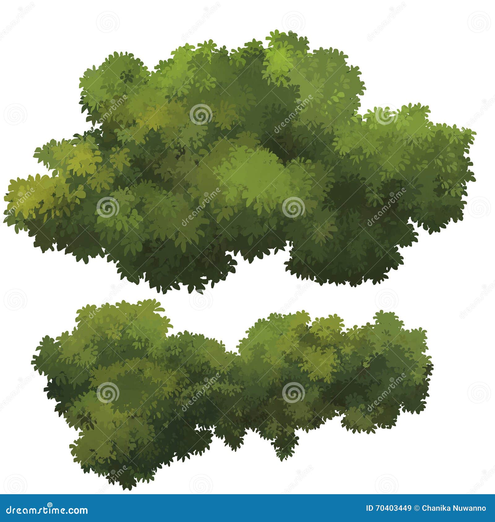 Bush stock illustration. Illustration of tree, garden - 70403449