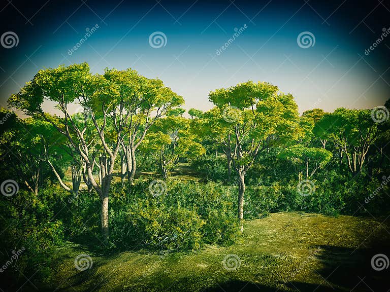 Bush Trees in Australia 3d Rendering Stock Photo - Image of beautiful ...