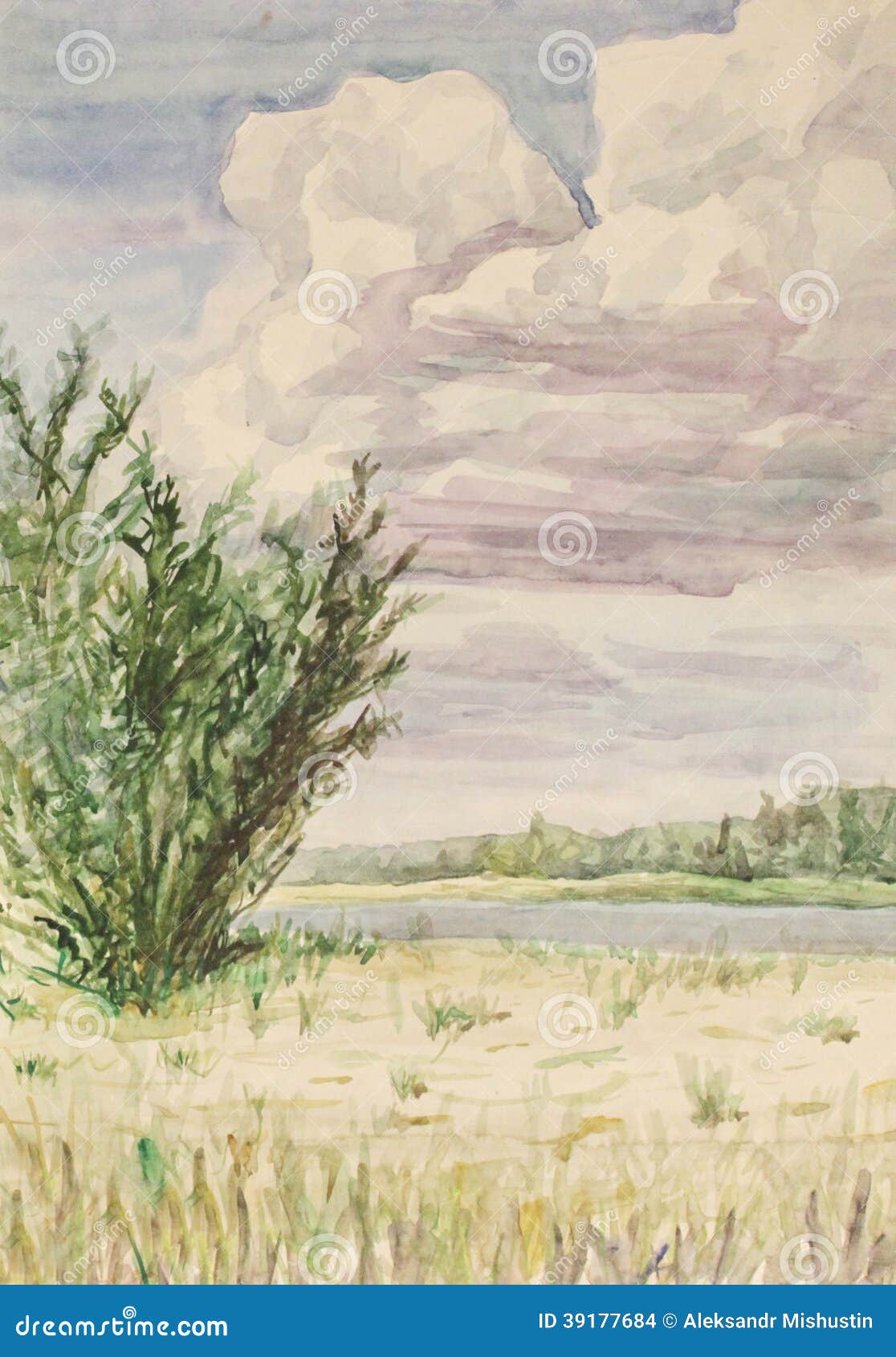 Bush vert de dessin illustration stock. Illustration du sable - 39177684