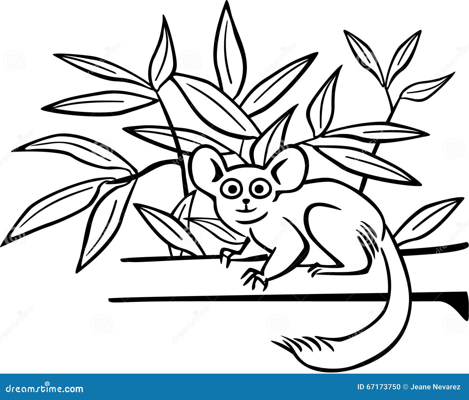 Bushbaby On A Branch Vector Illustration | CartoonDealer.com #67173750