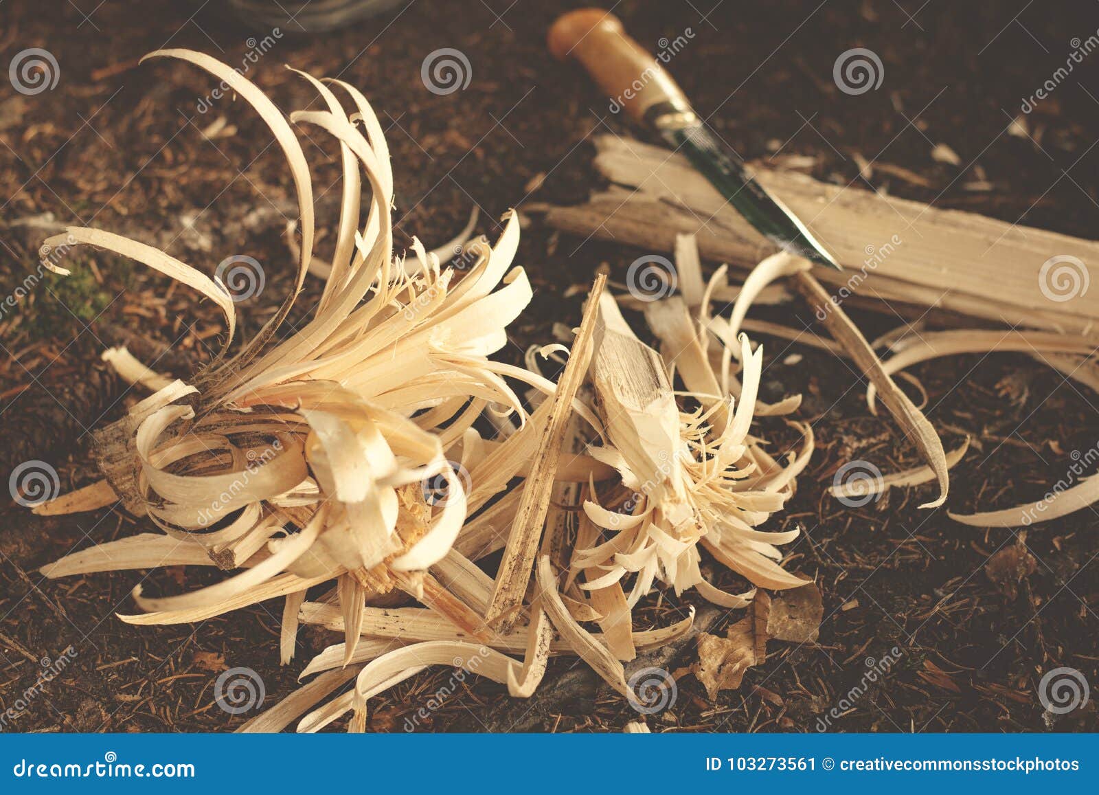 Bushcraft, Dry, Knife, Wood Picture. Image: 103273561