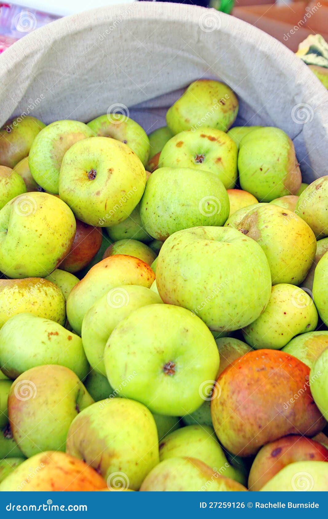 Bushel of Green Apples stock photo. Image of fall, bushel - 27259126