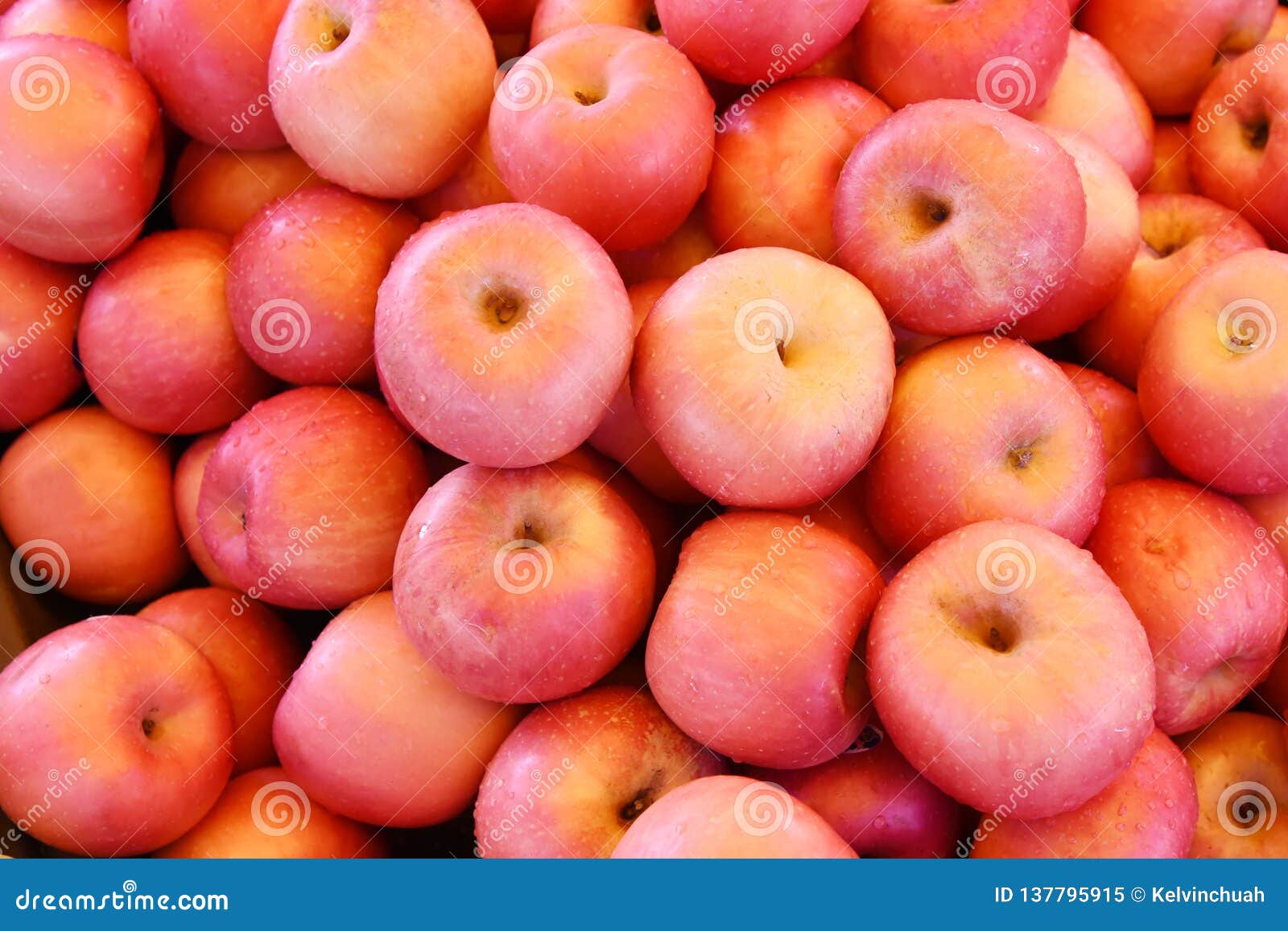 Bushel of Red Apples stock image. Image of color, picked - 137795915