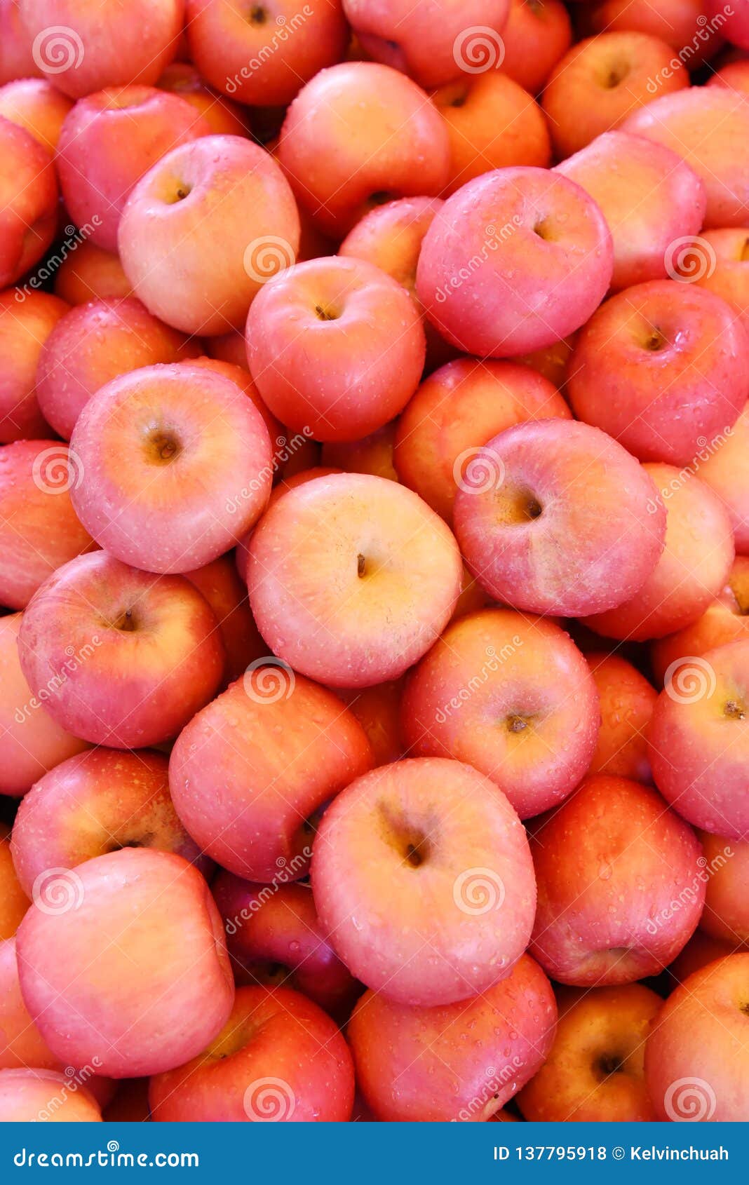 Bushel of Red Apples stock photo. Image of fresh, agriculture - 137795918