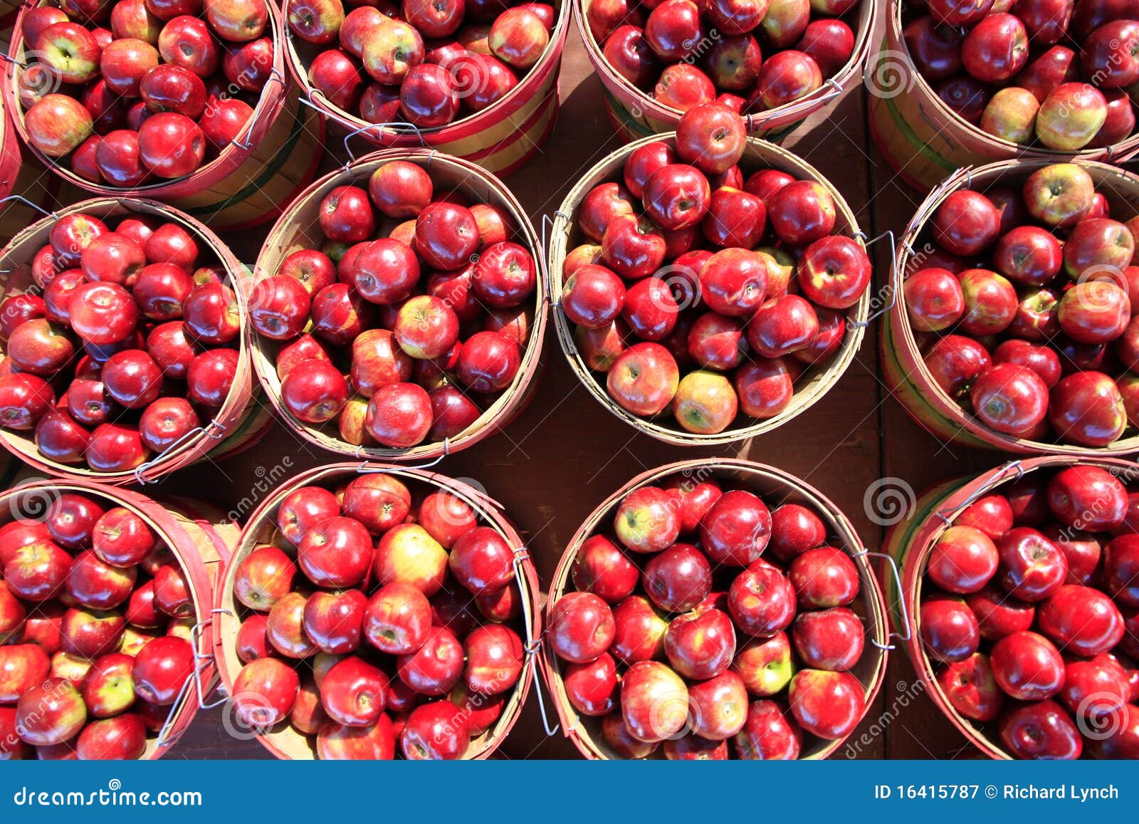 Busheled Apples stock image. Image of food, orchard, apples - 16415787