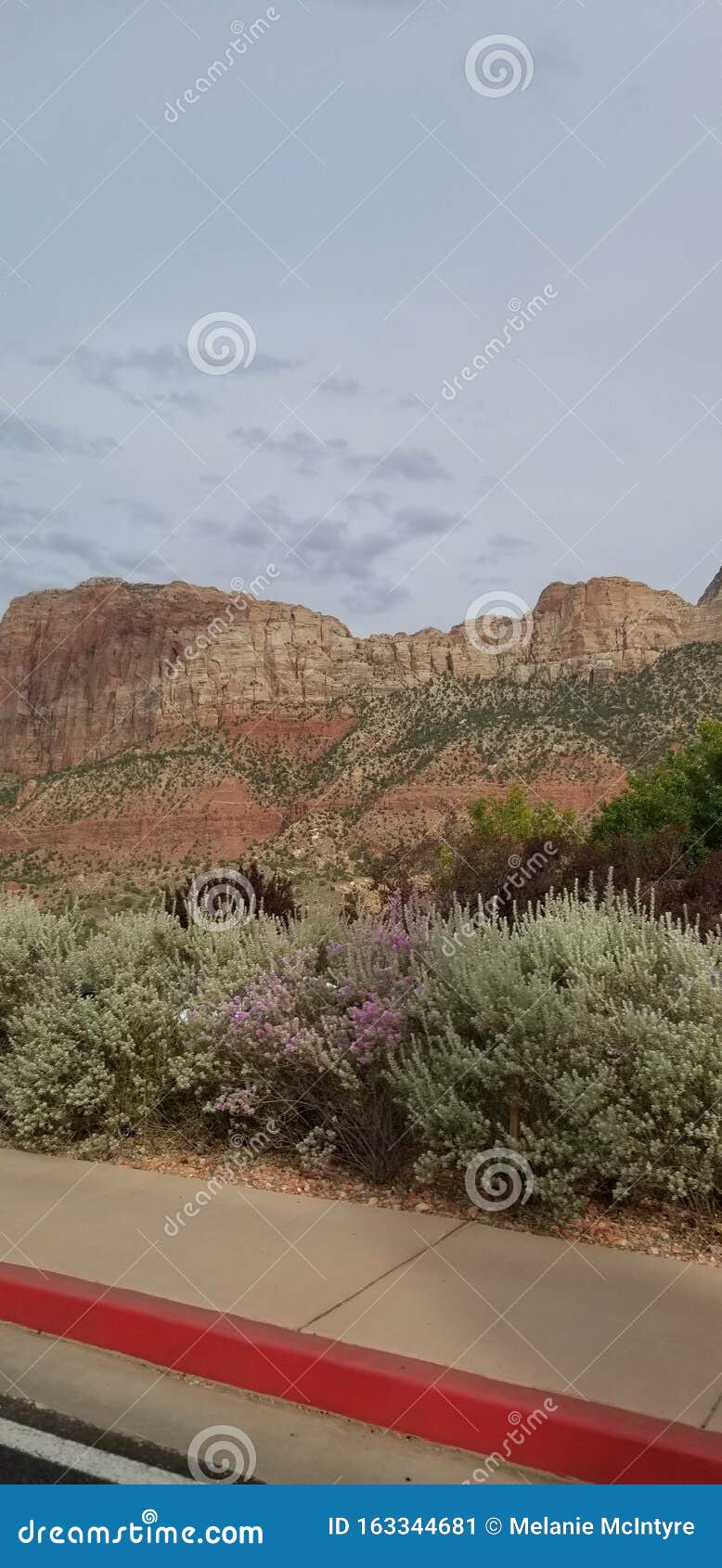 Bushes along highway stock image. Image of badlands - 163344681
