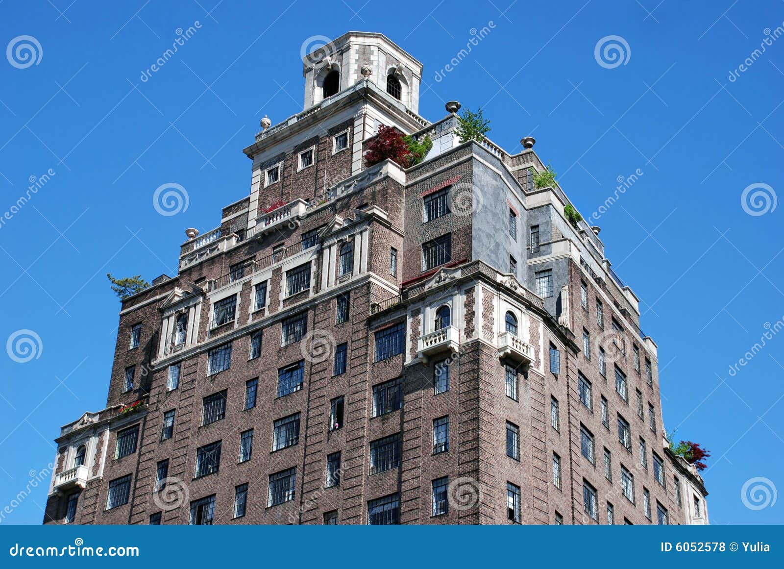Bushes on building roof stock photo. Image of rise, city - 6052578
