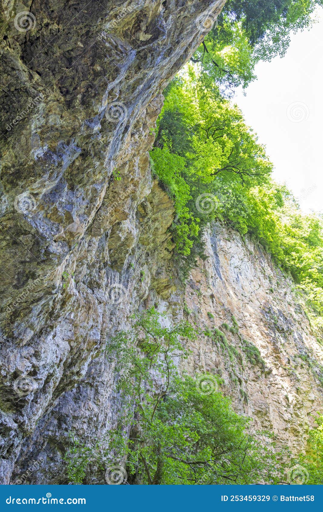 Bushes on cliffside stock image. Image of terrain, landscape - 253459329
