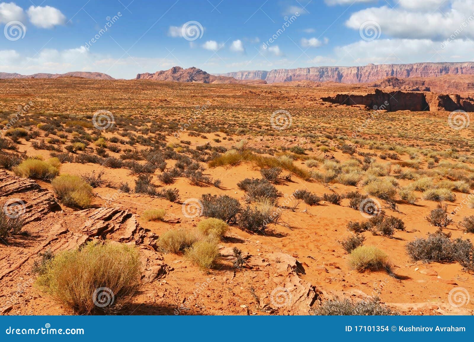 The bushes dry stock photo. Image of bushes, desert, canyon - 17101354
