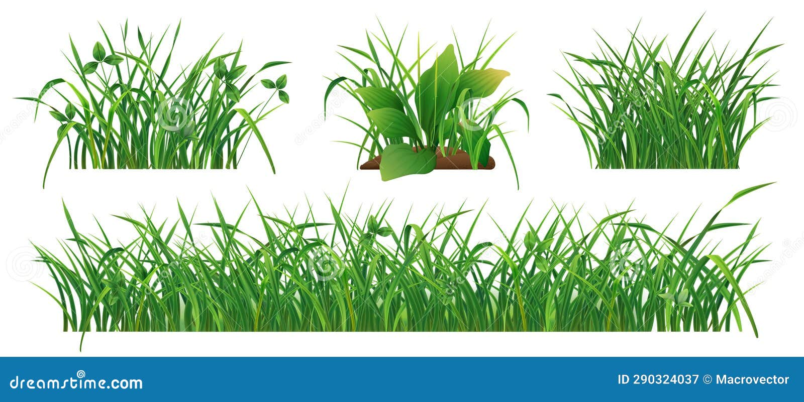 Bushes of Fresh Green Grass Realistic Set Stock Vector - Illustration ...