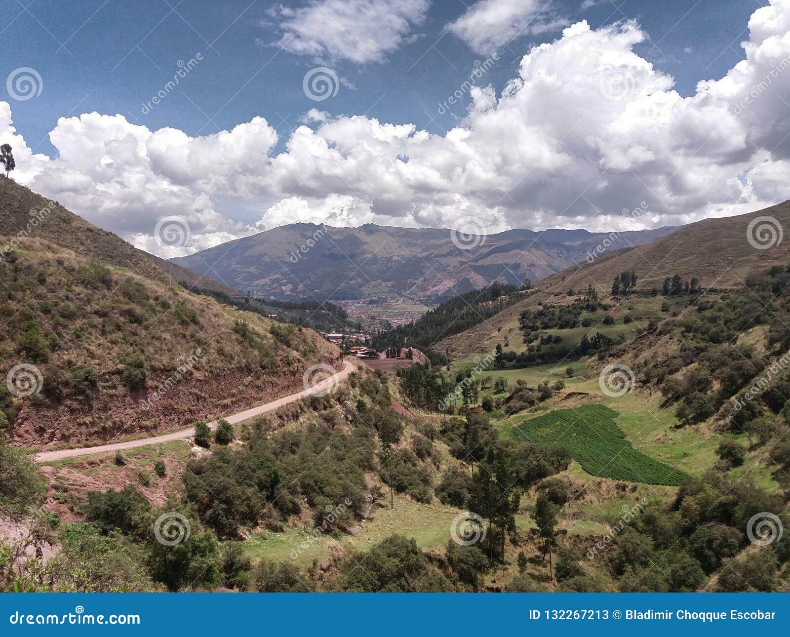 Bushes and Trees, Distant Mountains Stock Image - Image of cloudy, bush ...